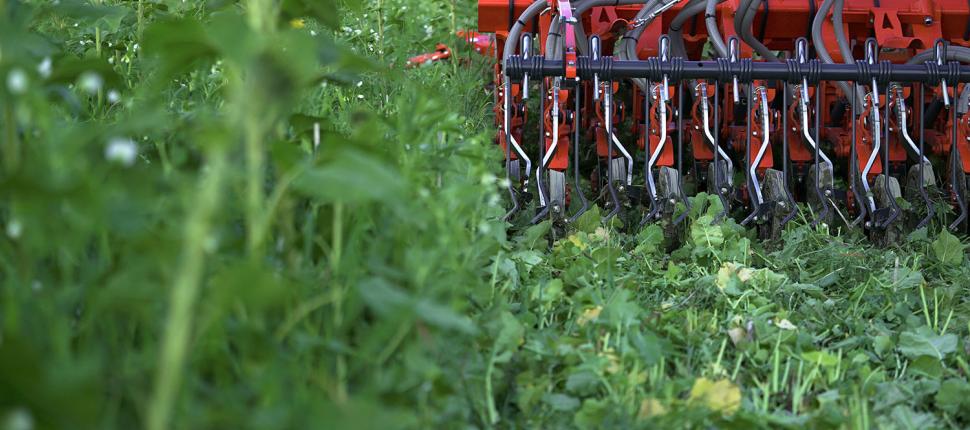 Minimum tillage techniques & direct seeding practices in a guide | KUHN