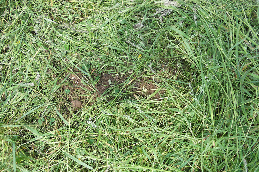 Minimum Level of Impurities | KUHN