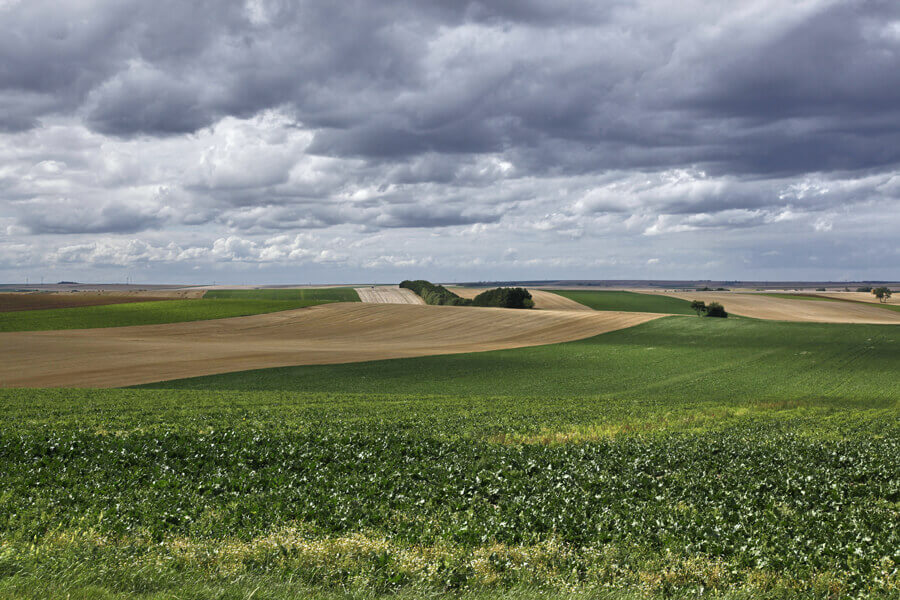 Minimum Tillage | KUHN