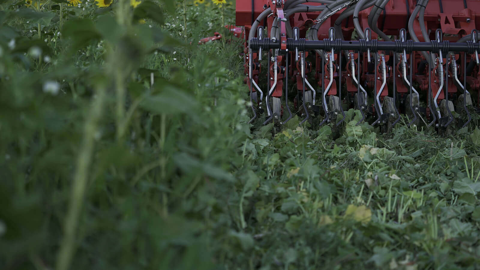 Innovative seeding techniques | KUHN